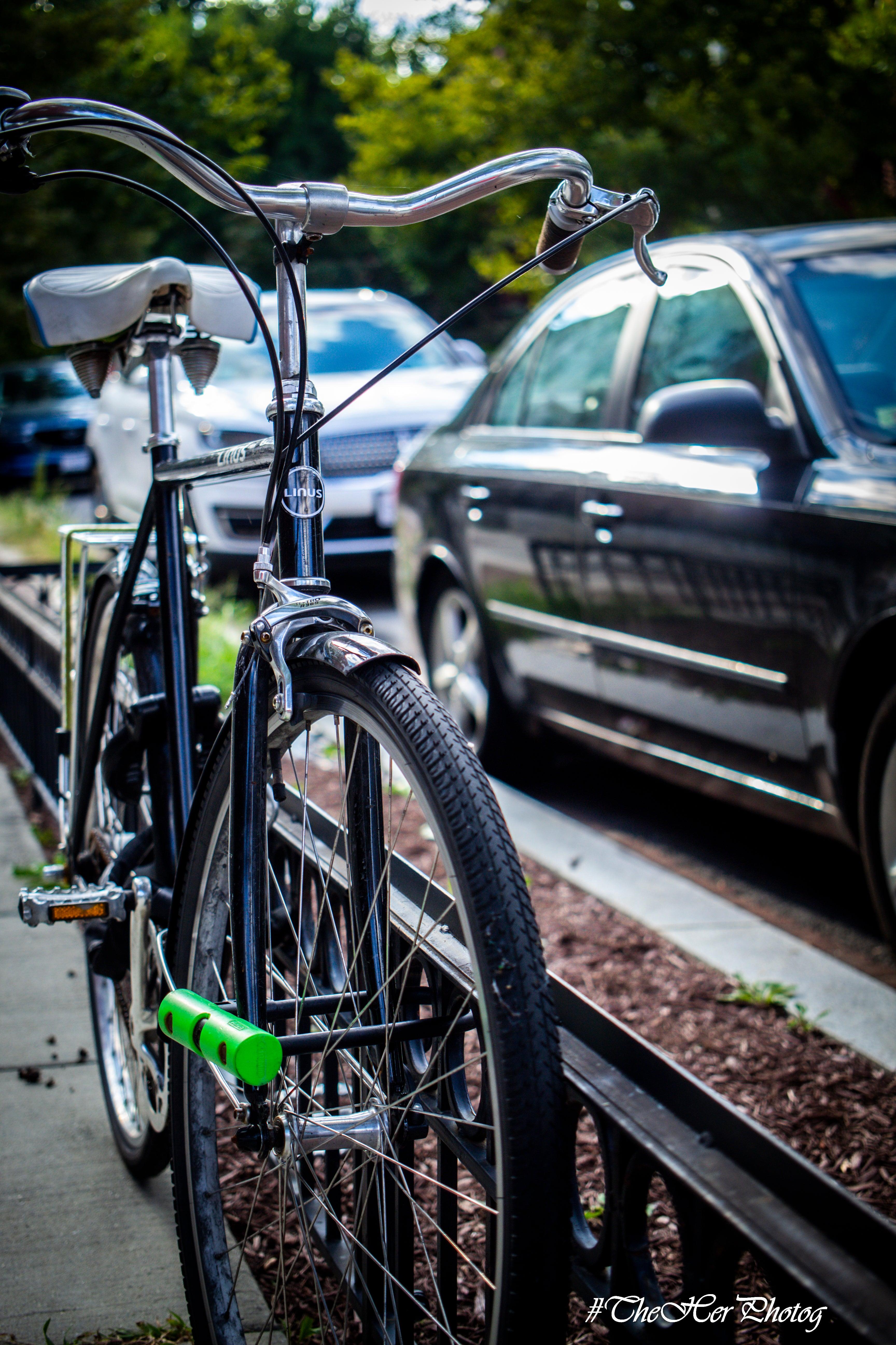 Gallery – Sons of SPPhillips